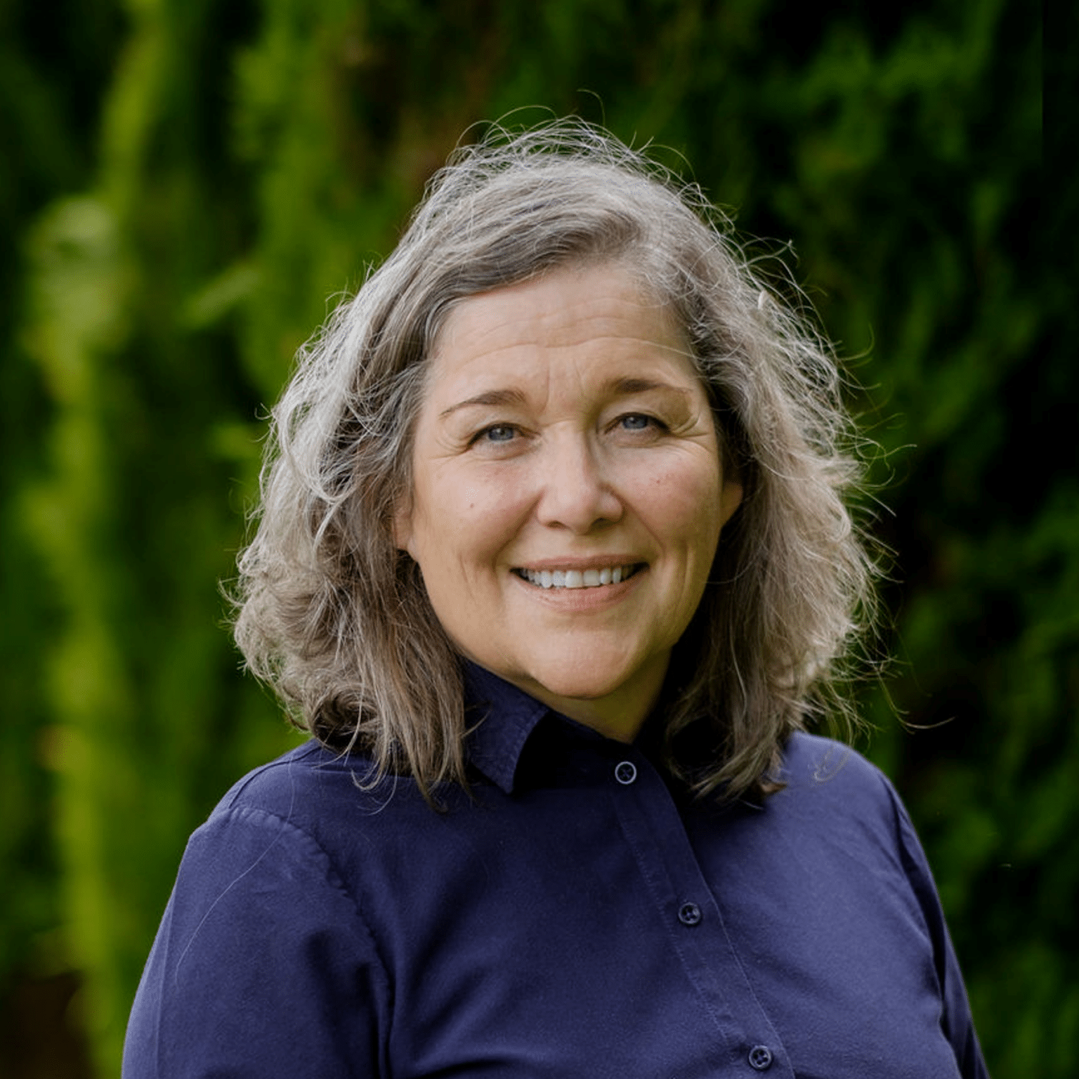 About Us - ClimSystems Ltd